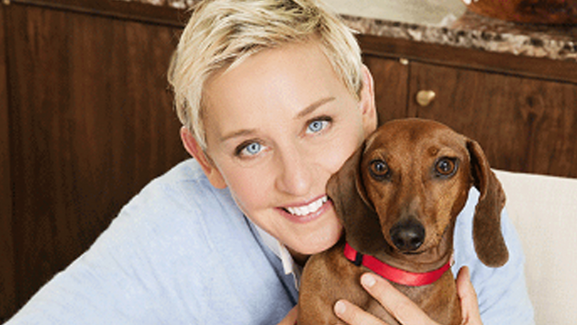 Así hace shopping Ellen DeGeneres con su nueva perra rescatada – GENTE ...