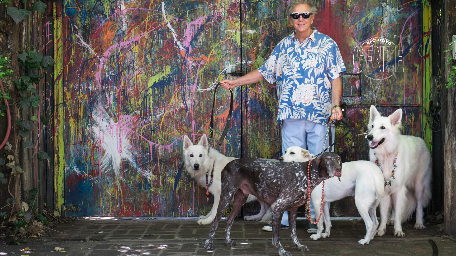 Así se hizo la producción de Pepe Cibrián con sus cuatro perros – GENTE ...