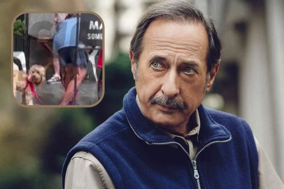 Guillermo Francella fue agredido con un perro que lo mordió y terminó ...