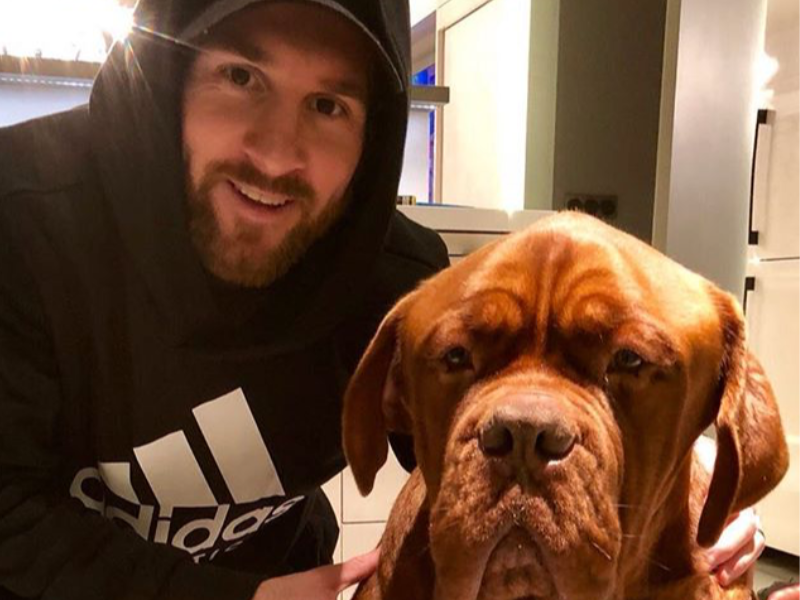 Los lujos con los que vive Hulk, el perro gigante de Lionel Messi: de ...