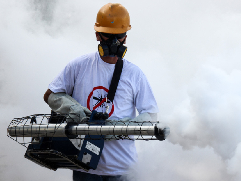 Dengue: Uruguay se prepara "para lo peor" tras la epidemia que lo azota ...