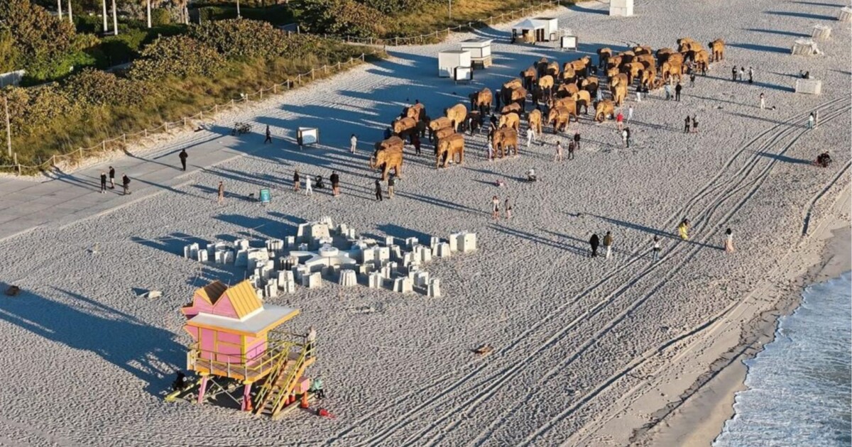 Ximena Caminos revoluciona Miami con The ReefLine, un parque de ...