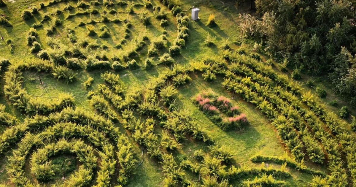 El pueblo que está a dos horas de CABA y cuenta con un laberinto ...