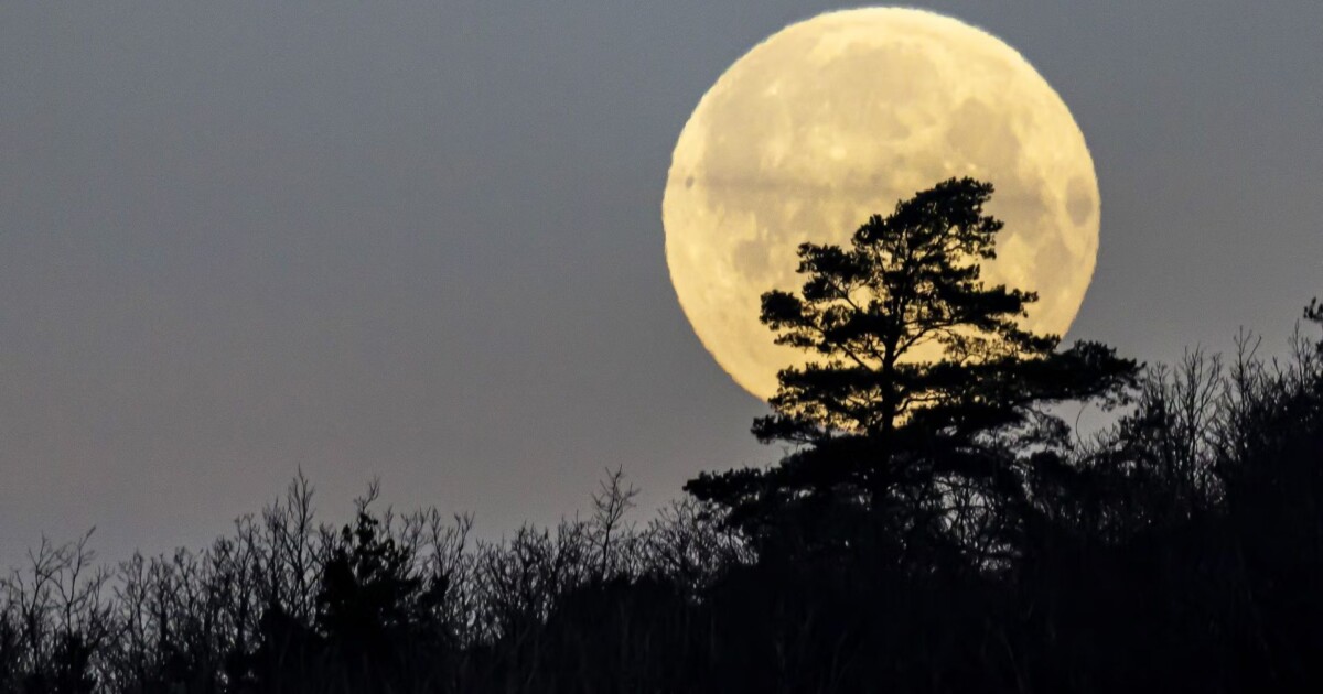 El horóscopo de la semana y sus predicciones: cómo influye Luna en apogeo en cada uno de los ...