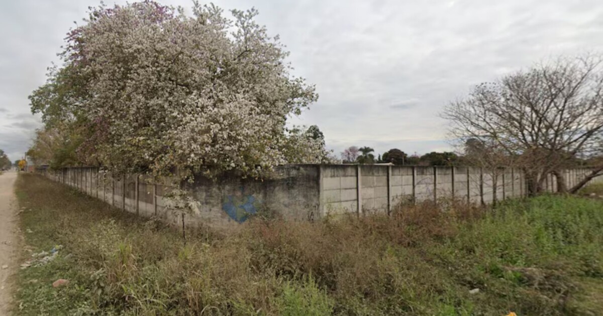 La estremecedora hipótesis sobre la pareja hallada sin vida en un ...