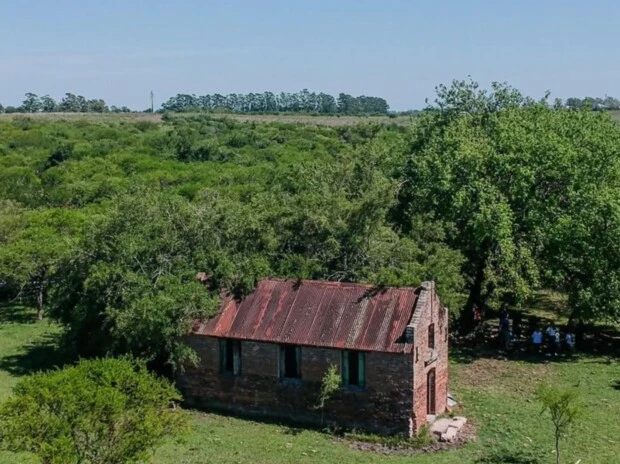 "Siento vergüenza": el fuerte descargo de Jorge Rial, al borde del ...