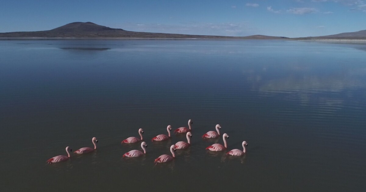 Con laguna y vista infinita: el lugar argentino poco conocido que fue ...